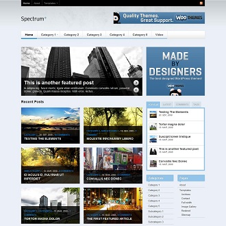 Wordpress premium themes